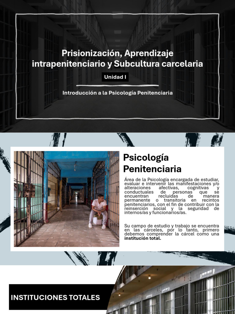Prisionización y Subcultura Carcelaria | PDF | Comportamiento ...