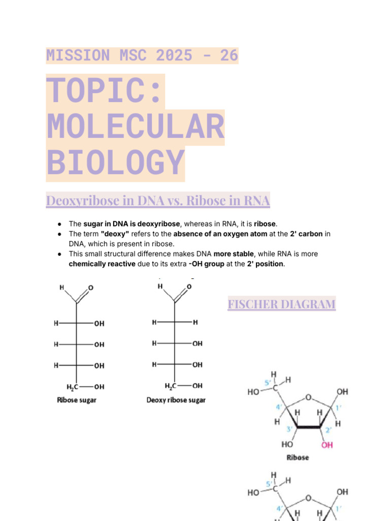 MASTER YOUR FUNDAMENTALS Mol Bio | PDF | Nucleotides | Cell (Biology)