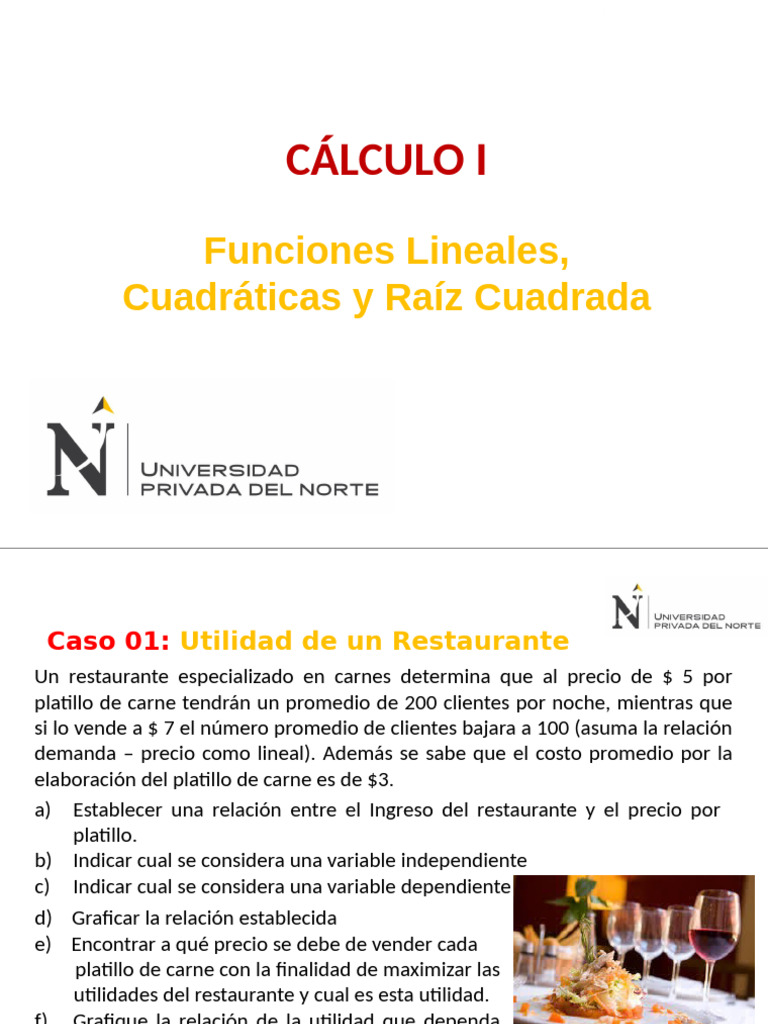 Cálculo I: Funciones Lineales, Cuadráticas y Raíz Cuadrada | PDF ...