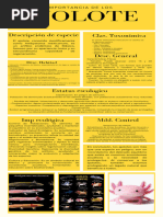 Receta Médica IMSS Editable en Word | PDF