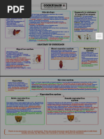Cockroach Ncert | PDF