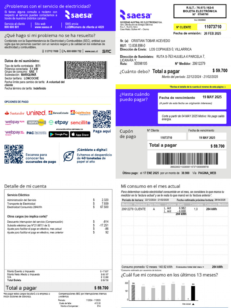 Boleta | PDF | Economias | Energia electrica