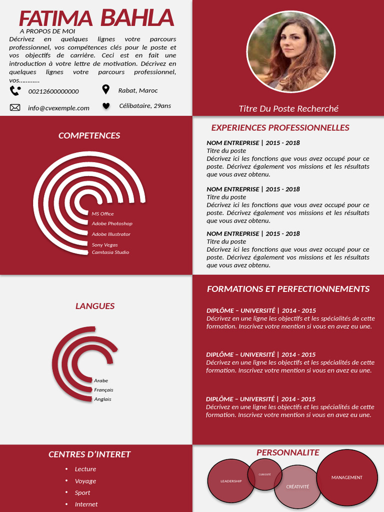 CV Synthétique | PDF
