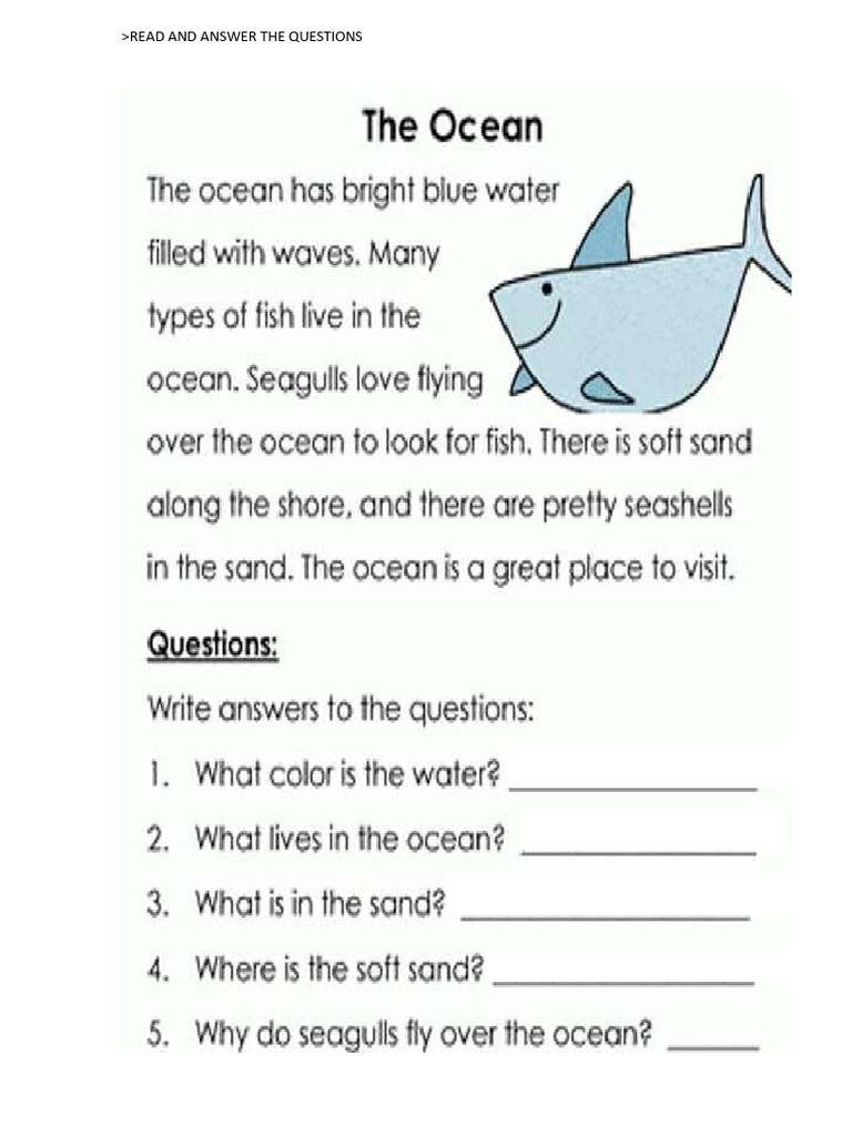 READING COMPREHENSION. | PDF