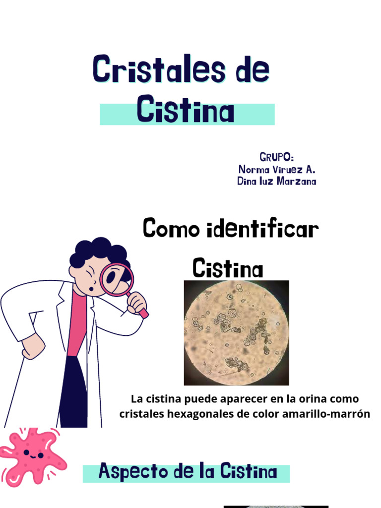 Cristales de Cistina en Orina: Identificación | PDF