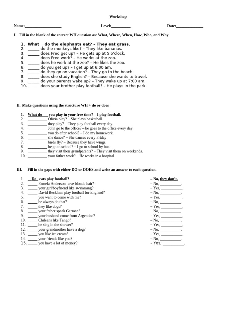WH Questions with Do and Does | PDF