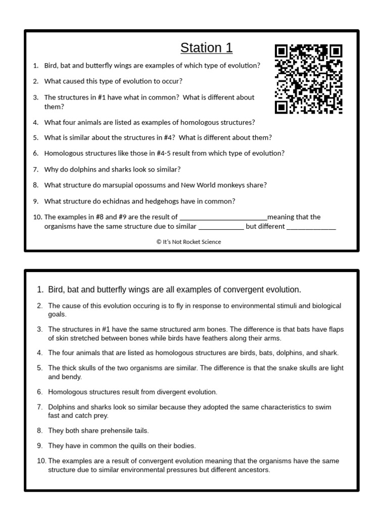 Copy of Evolution Stations | PDF | Evolution | Natural Selection