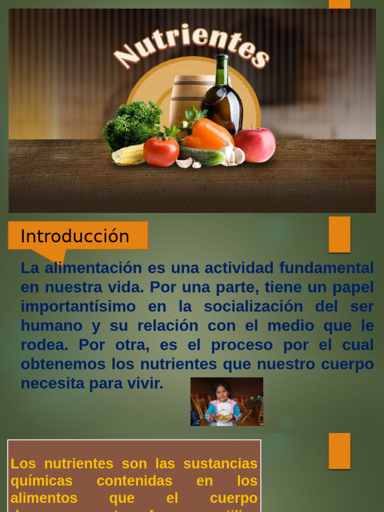 Tipos y funciones de los nutrientes | PDF | Nutrientes | Dieta