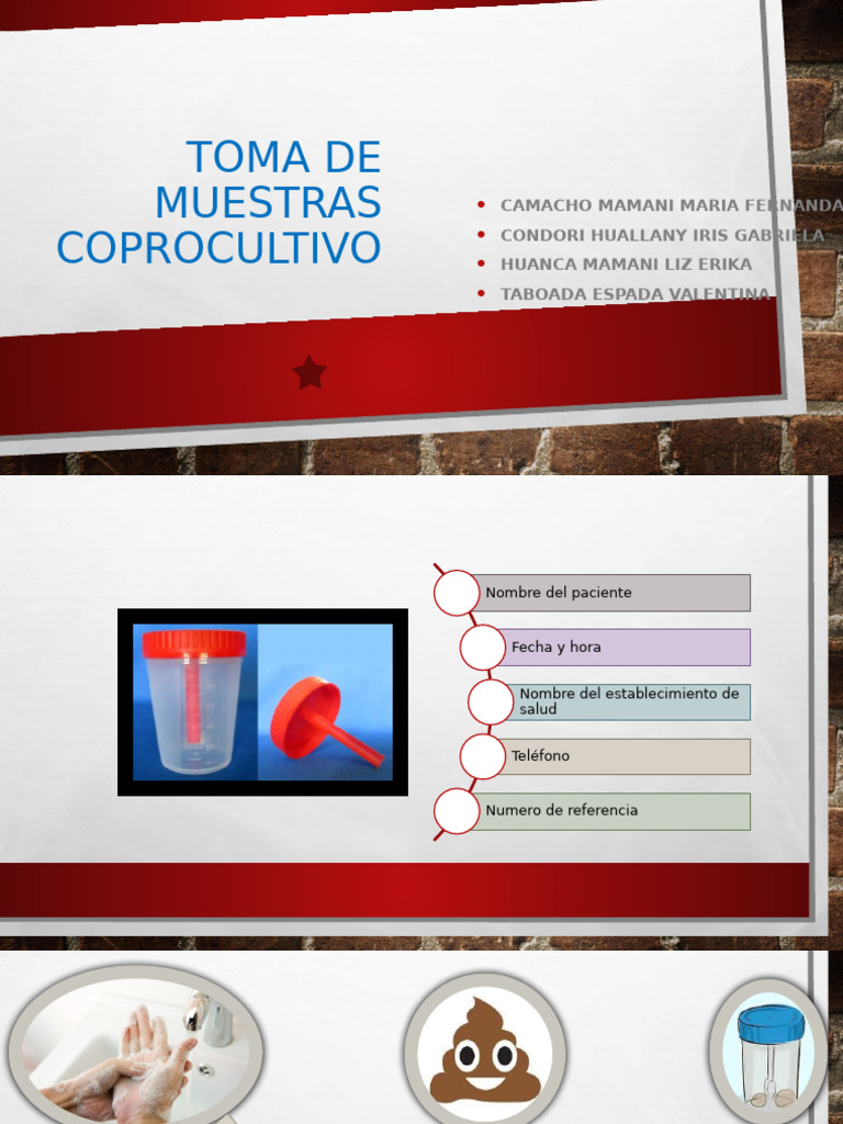 Guía De Coprocultivo En Bebés Y Niños Pdf