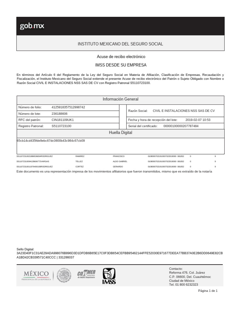 10 Formato Imss Alta | PDF