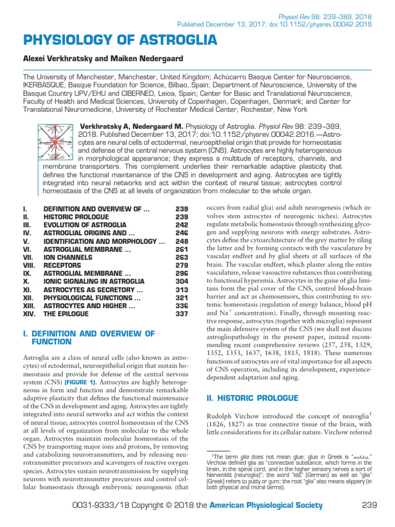 verkhratsky-nedergaard-2017-physiology-of-astroglia | PDF | Astrocyte ...