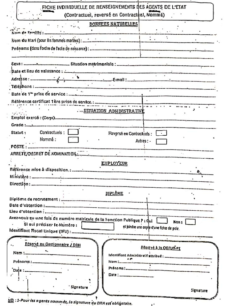 Fiche Individuelle Vierge | PDF