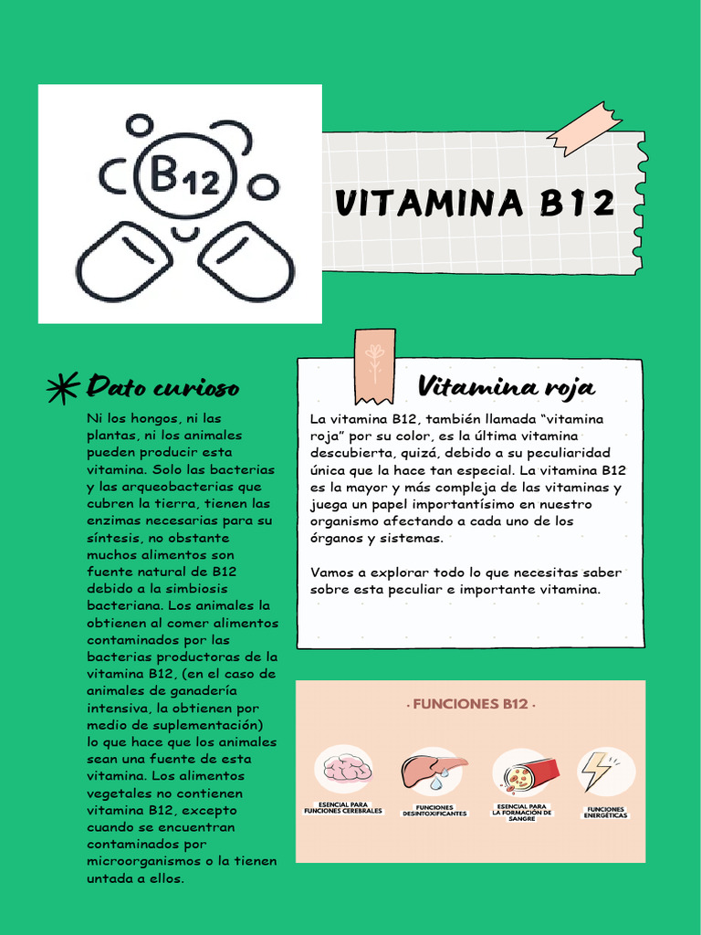 Ebook Vitamina b12 | PDF | Vitamina B12 | Vitamina