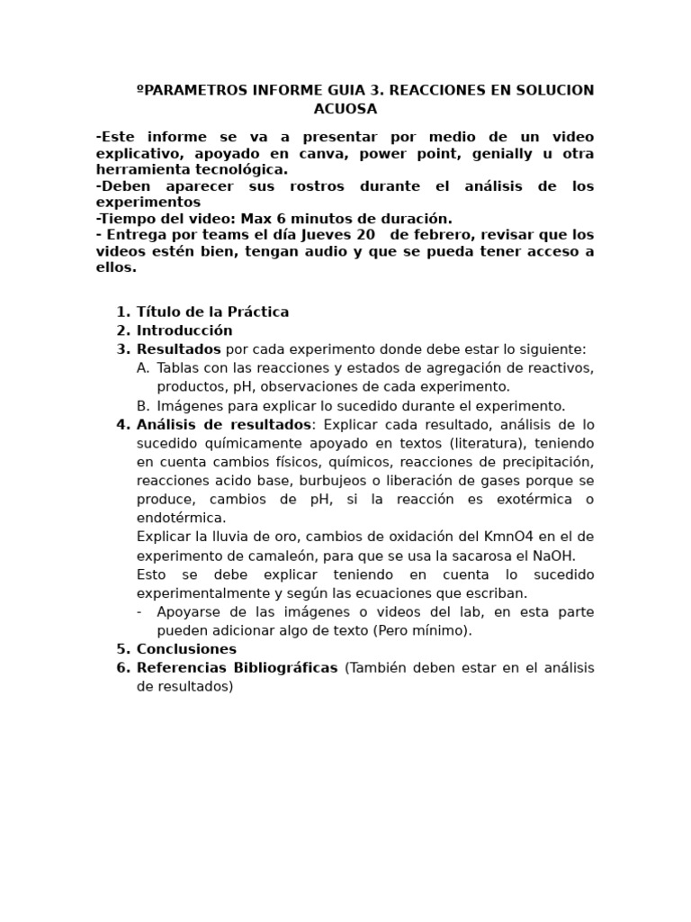 Parametros Informe Guia 3-2025-1 | PDF