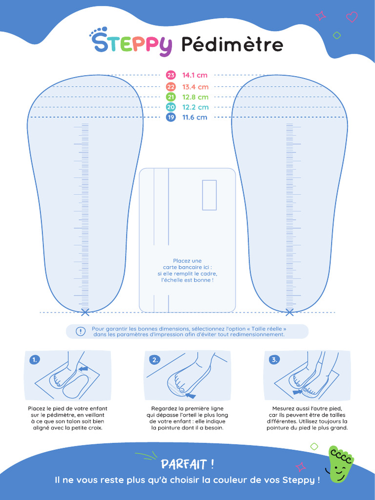 Pedimetre Draft 04a | PDF
