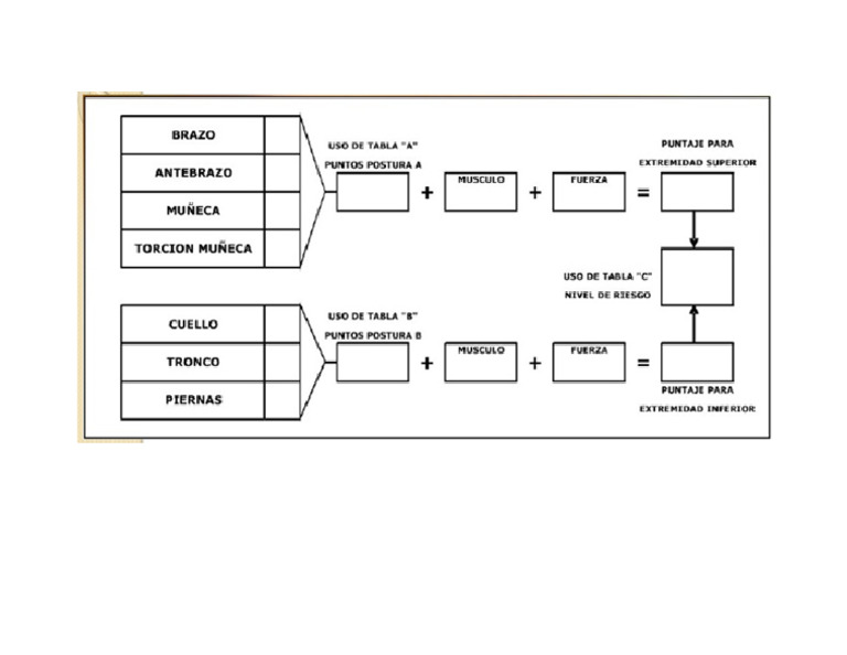 Formato para Estudio de RULA | PDF
