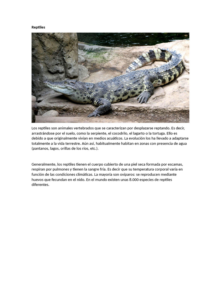 Reptiles | PDF