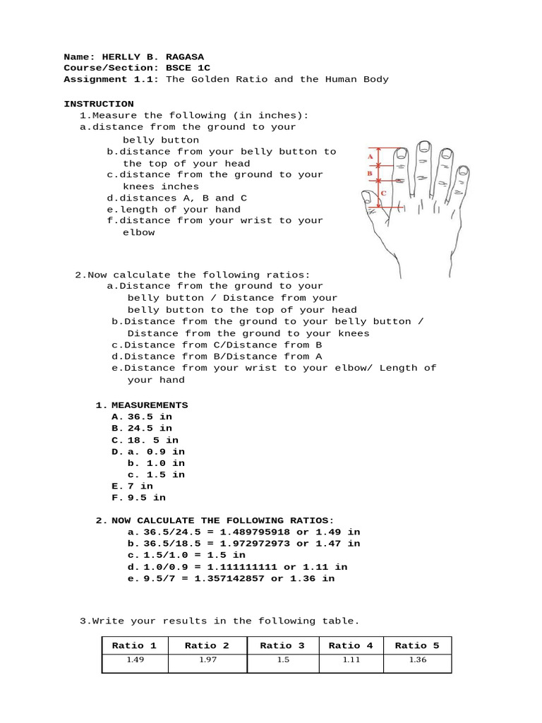 The-Golden-Ratio-and-the-Human-Body | PDF