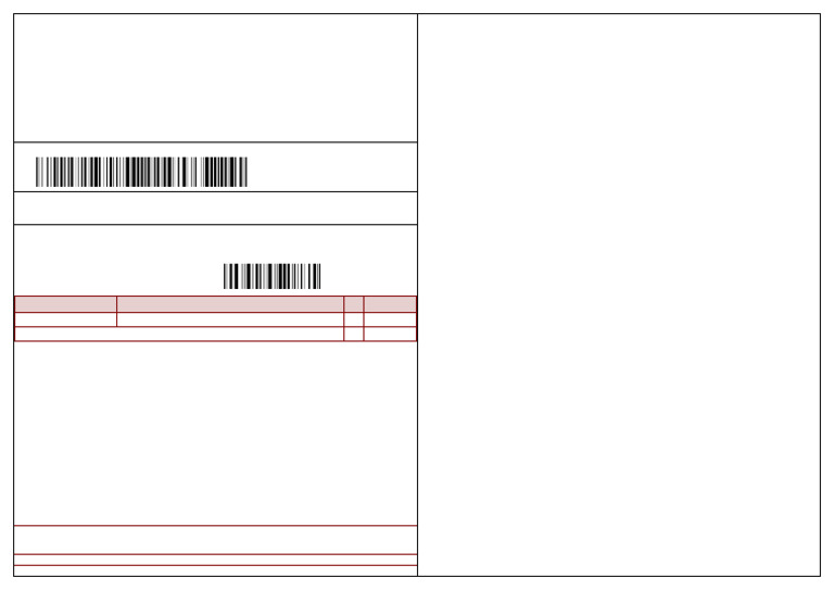 Ecom Express Shipping Label for Order 405-1124827 | PDF