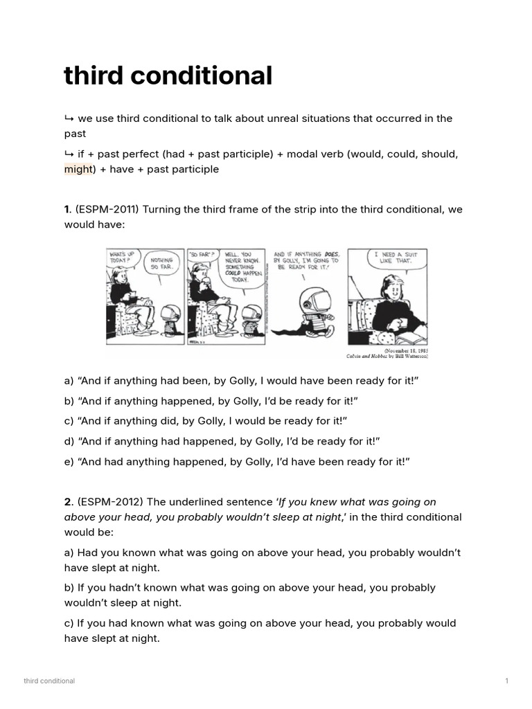 Third Conditional | PDF