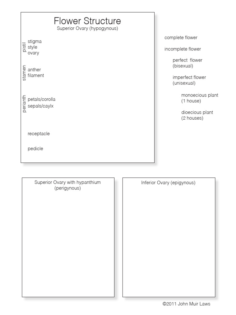 Flower-parts | PDF