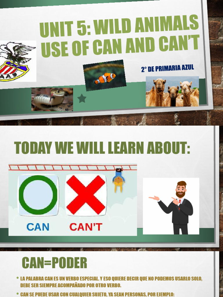 UNIT 5 Uso de CAN Y CANT | PDF