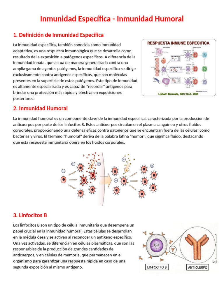 Inmunidad Específica y Humoral Explicada | PDF | Sistema inmune ...