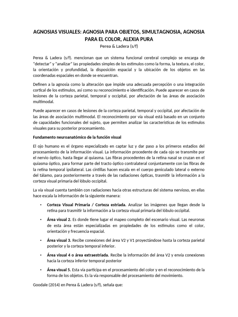 AGNOSIAS VISUALES - Resumen | PDF | Corteza visual | Lóbulo occipital