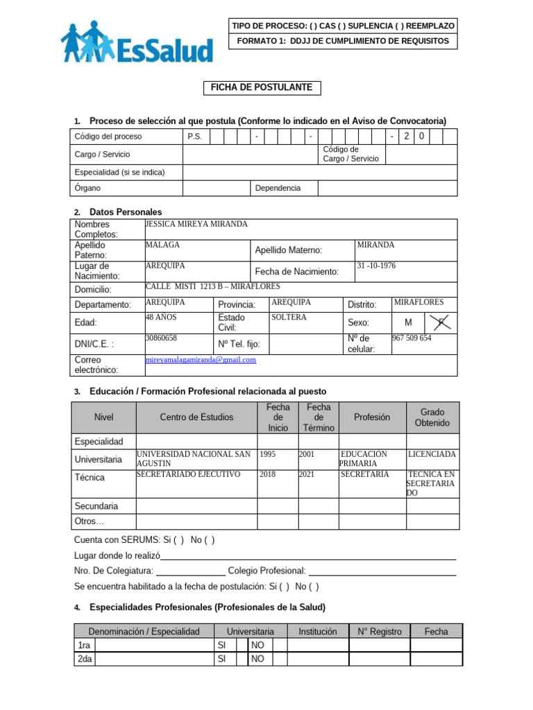 Formato1 ESSALUD | PDF