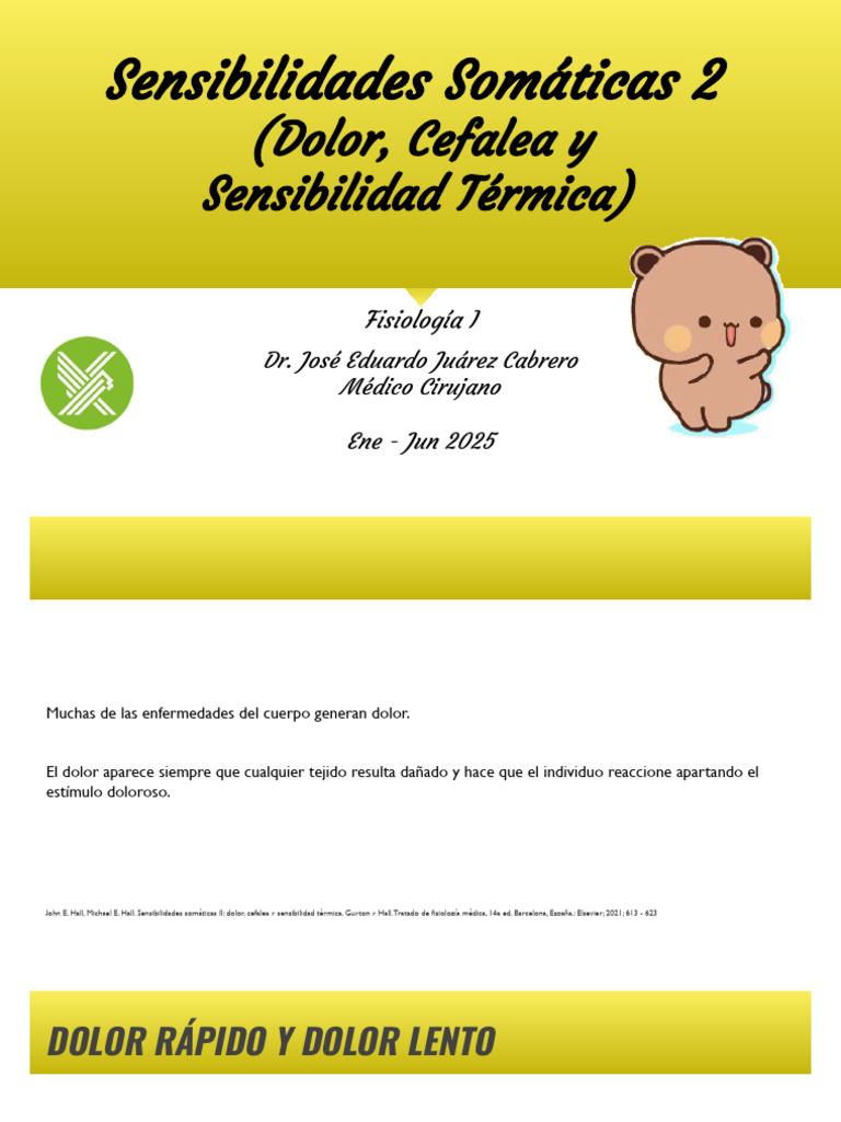 2.4 Sensibilidad Somática II (Dolor, Cefalea y Sensibilidad Térmica) | PDF | Dolor | Dolor de cabeza