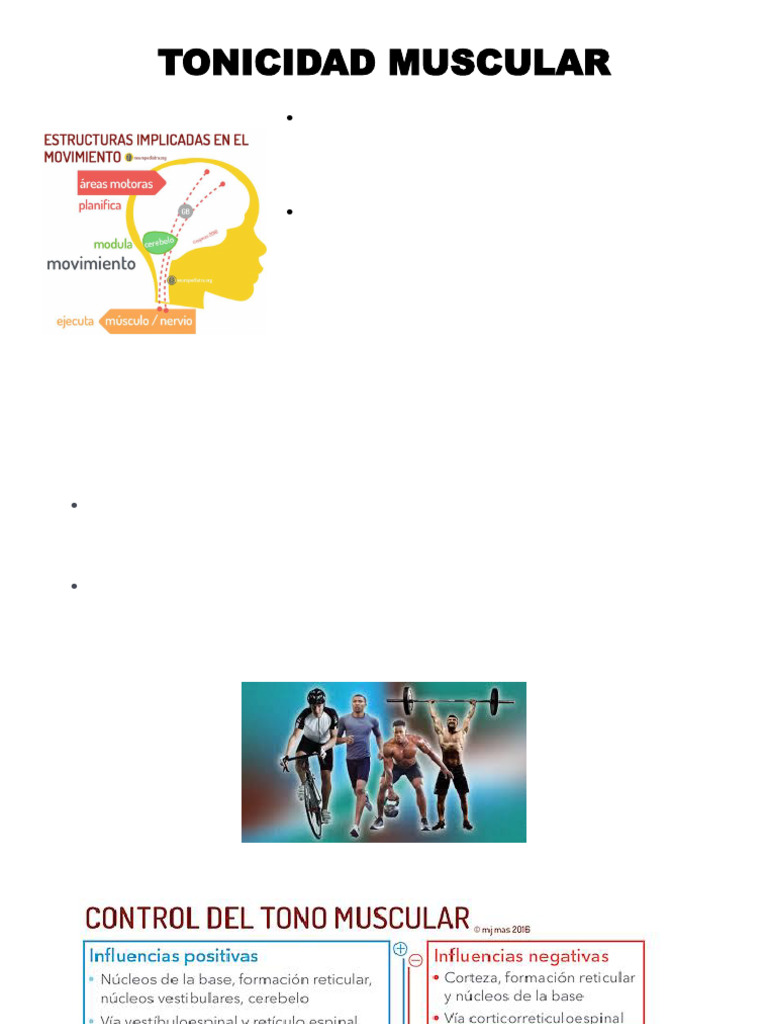 Clasificación y Evaluación del Tono Muscular | PDF