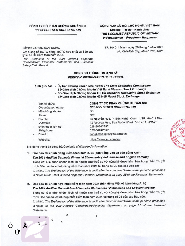 SSI - Bao Cao Tai Chinh Rieng Kiem Toan Nam 2024 - Signed | PDF