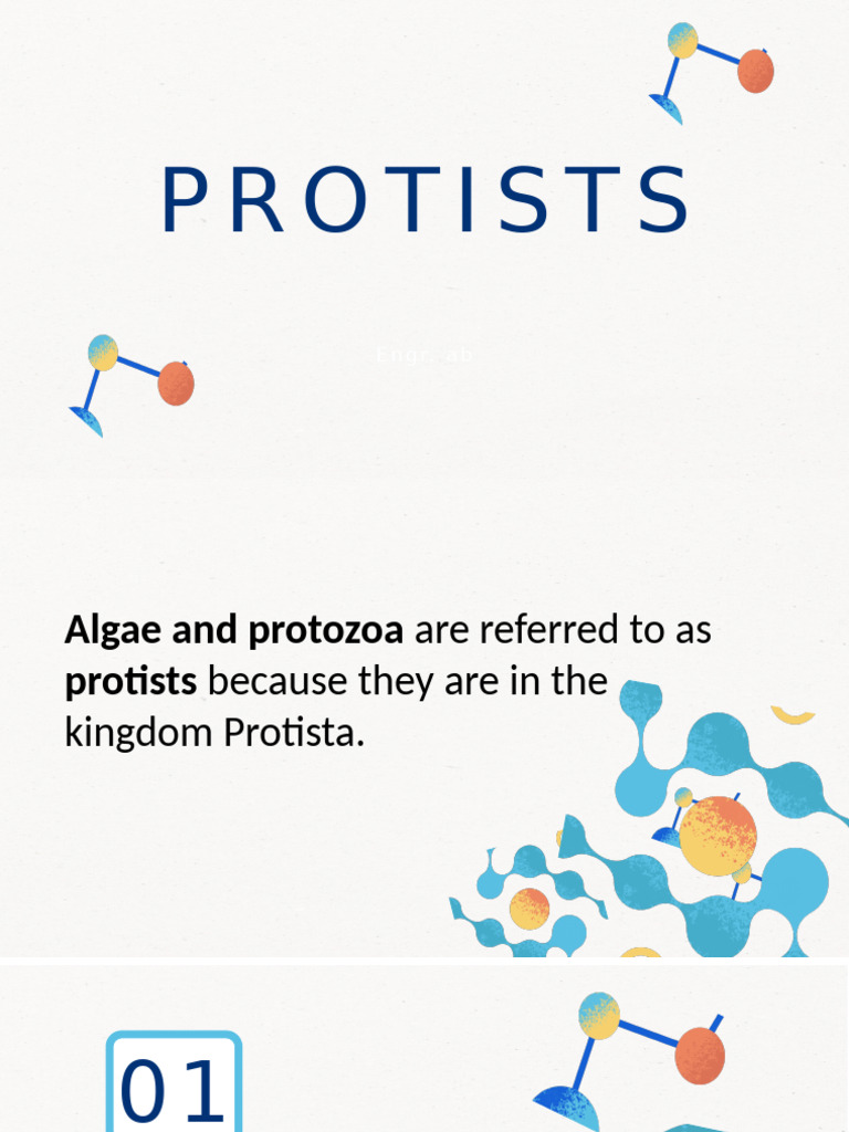 Microbiology Protists | PDF | Protozoa | Algae