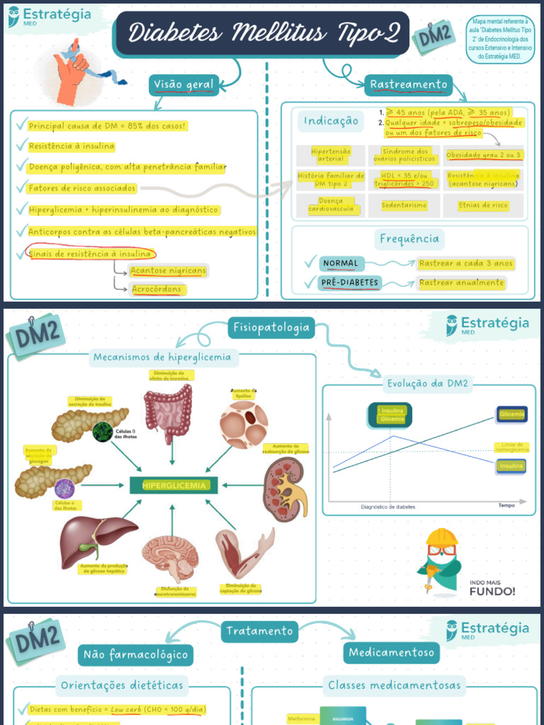 Mapa Mental: Diabetes Tipo 2 | PDF | Diabetes | Distúrbios metabólicos