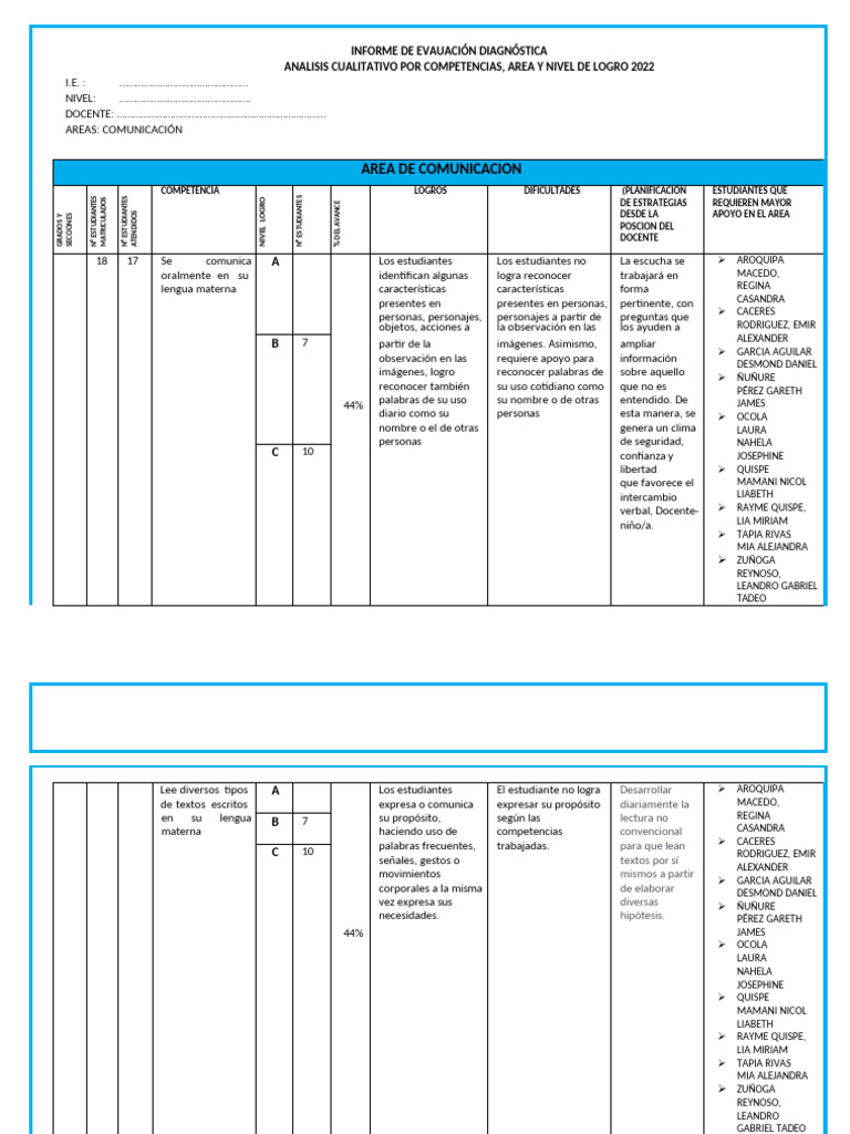 I-ANALISIS CUALITATIVO Y CUANTITATIVO DE EVAL DIAGN. Camila | PDF