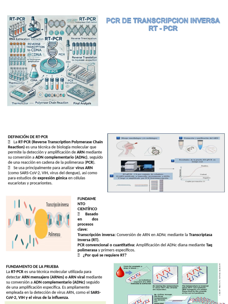 RT PCR | PDF | Reacción en cadena de la polimerasa de transcripción ...
