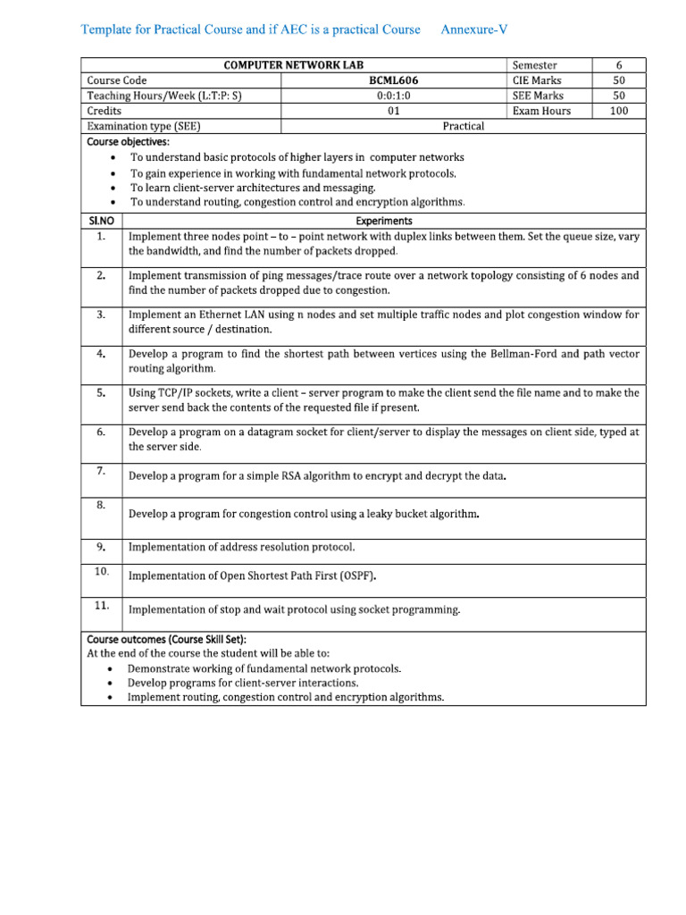 CN Lab Syll. Copy | PDF