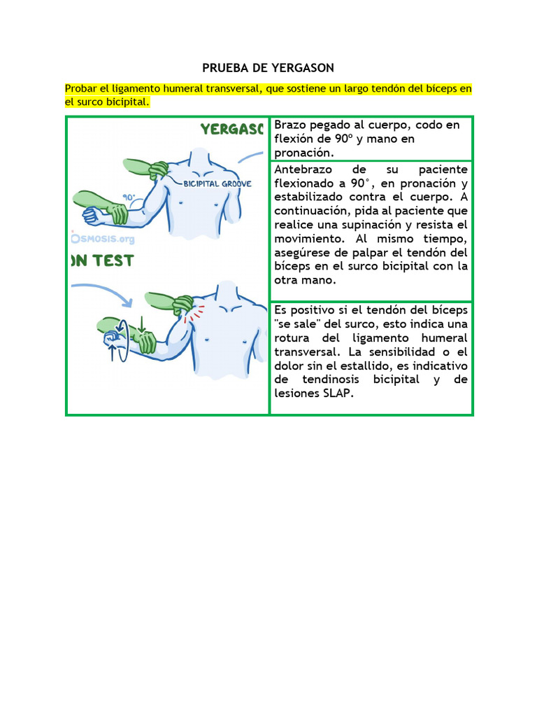 Prueba de Yergason | PDF | Codo | Hombro
