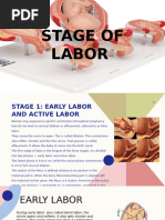 Midwifery Case Study: Normal Delivery | PDF | Childbirth | Pelvis