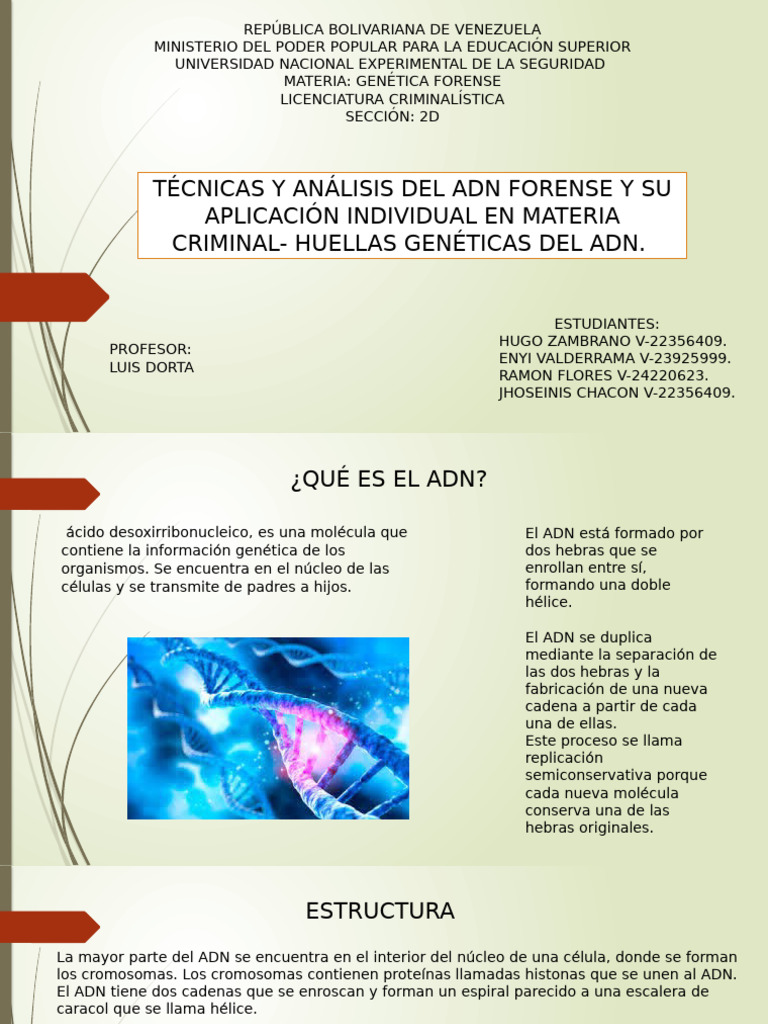 Técnicas de ADN Forense en Criminalística | PDF | Adn | Perfiles de ADN
