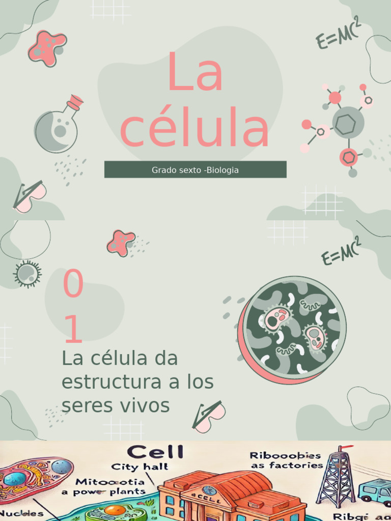 Estructura y funciones de la célula | PDF | Mitosis | Biología Celular)