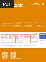 Plan de Estudios - Lic. en Psicología (UBA) | PDF