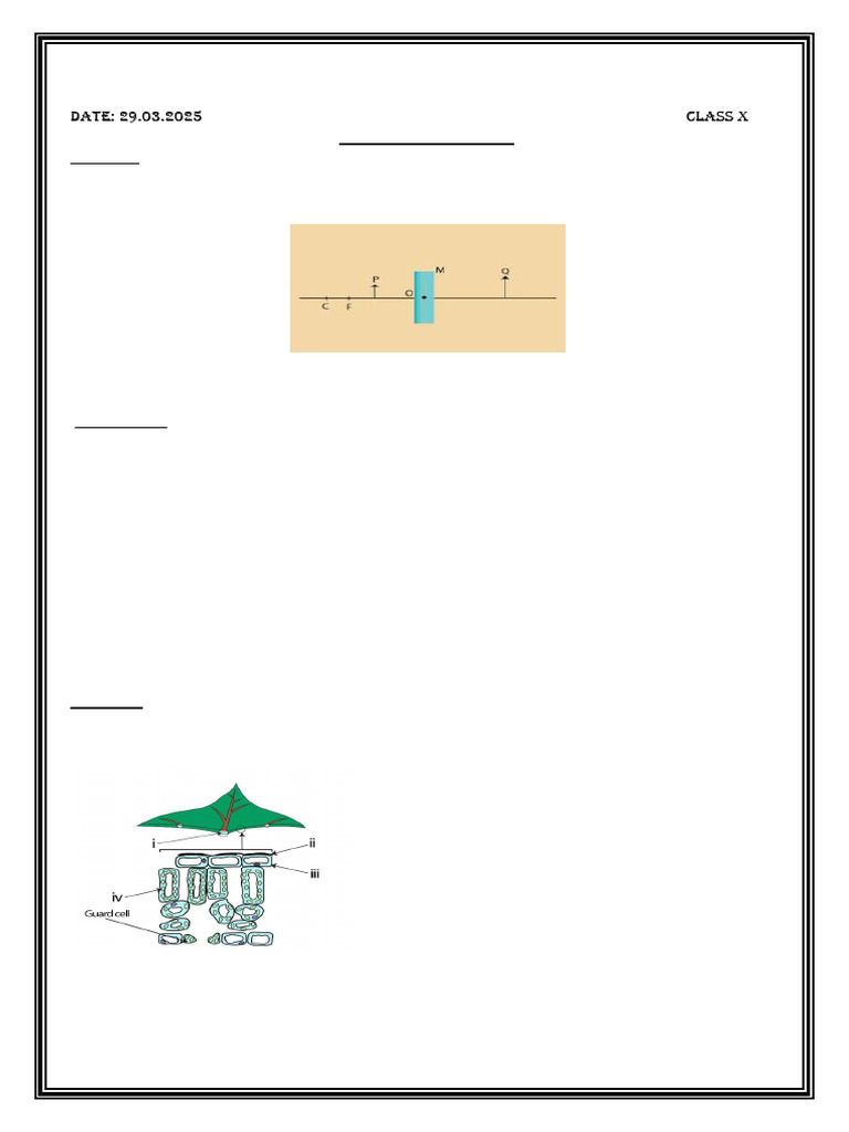 Class x -Science Worksheet-29.3.25 | PDF