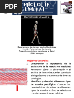 Tipos de Marcha | PDF | Sistema musculoesquelético | Enfermedades y ...