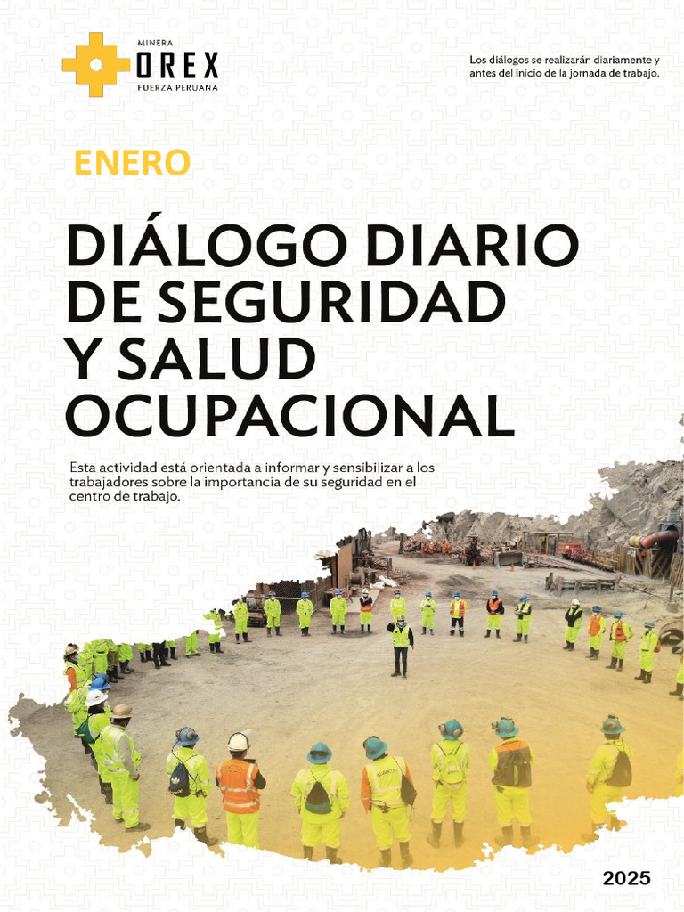 DDS Enero 2025 | PDF | Seguridad y salud ocupacional | Liderazgo