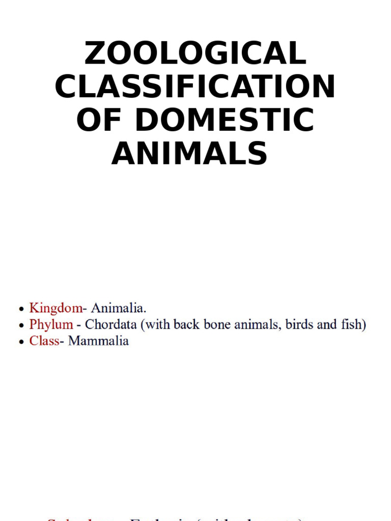 L1 ZOOLOGICAL CLASSIFICATION OF DOMESTIC ANIMALS | PDF
