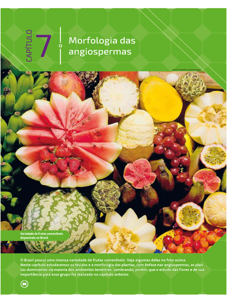 Morfologia das angiospermas | PDF