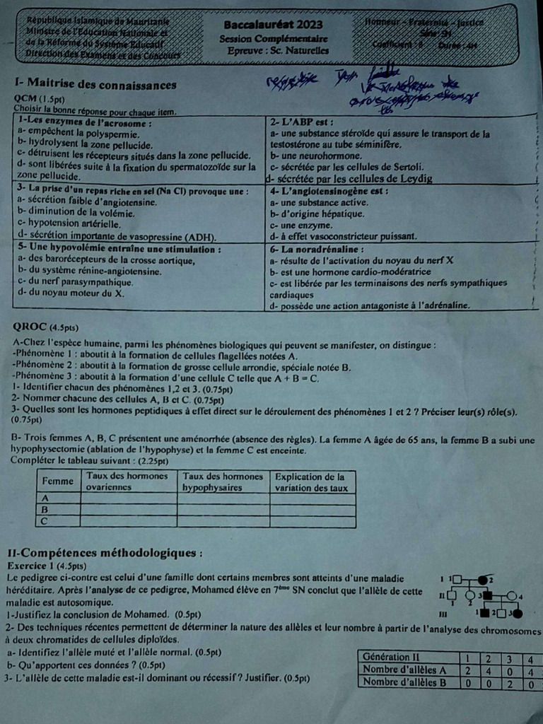 BAC D SN 2023 sc | PDF