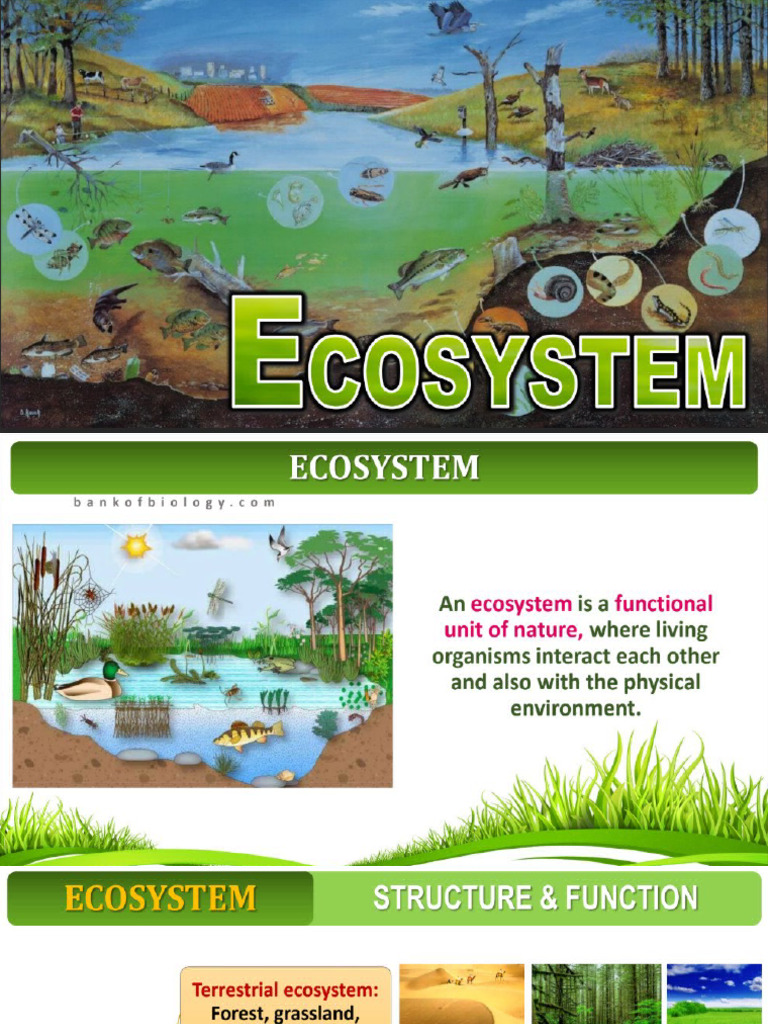 SEO Best Practices Guide | PDF