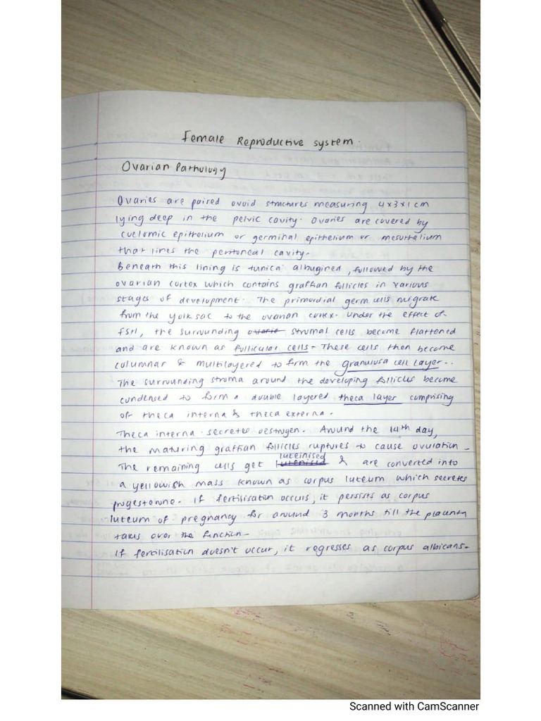 Female Genital System-Rama | PDF